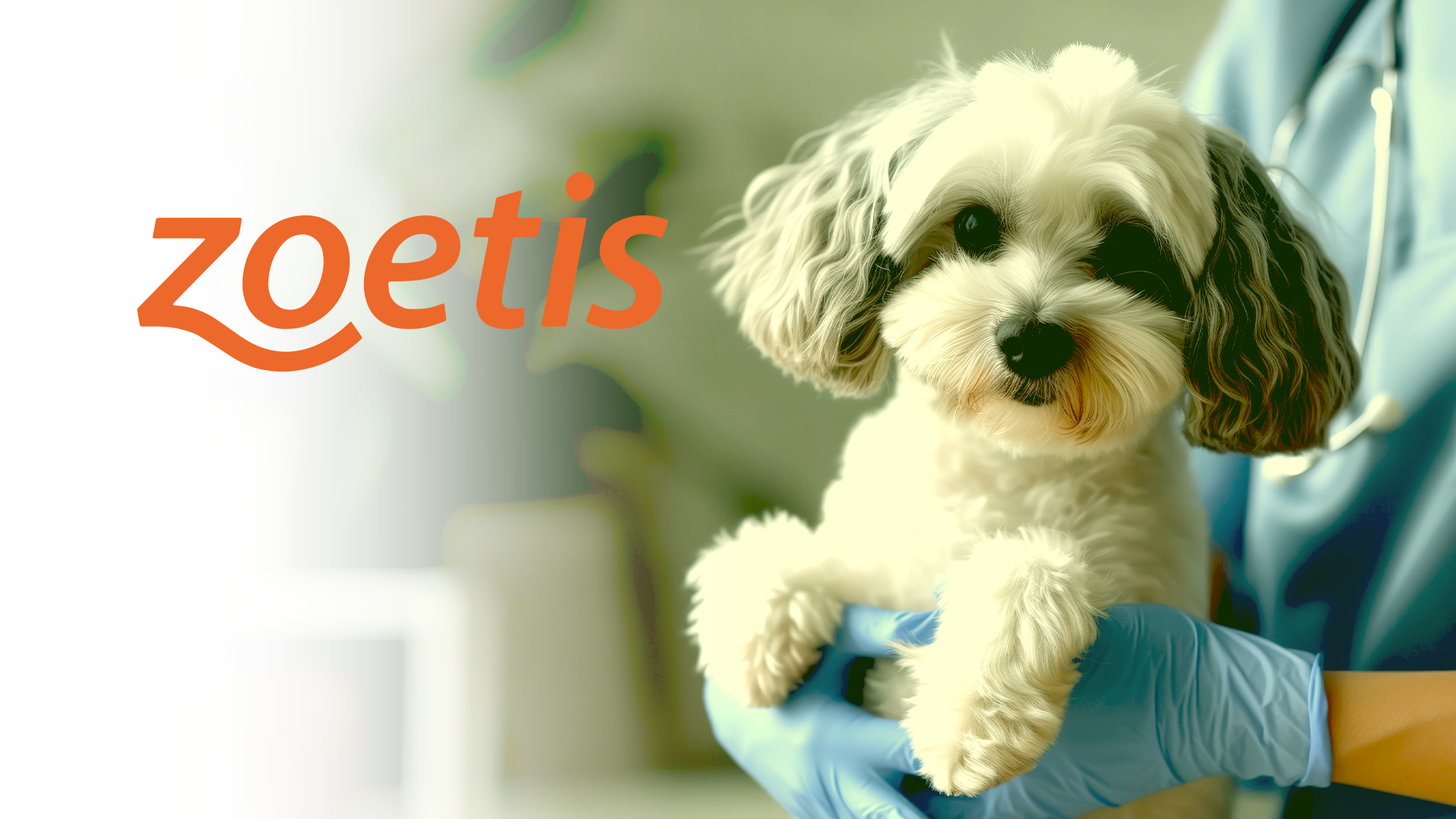 Zoetis – Deposito Veterinario